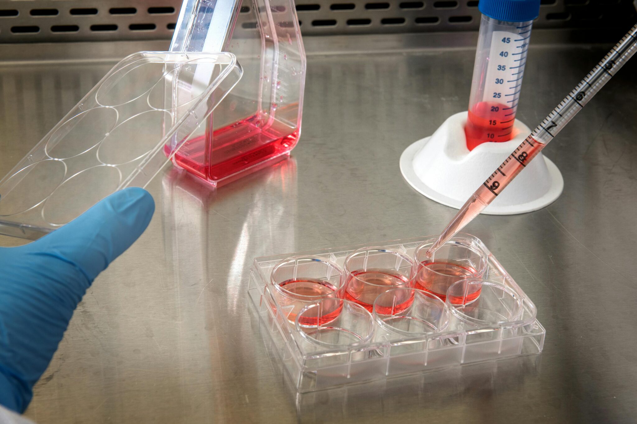 Captain T Cell sichert sich erfolgreich Finanzierungsrunde - VC Magazin
